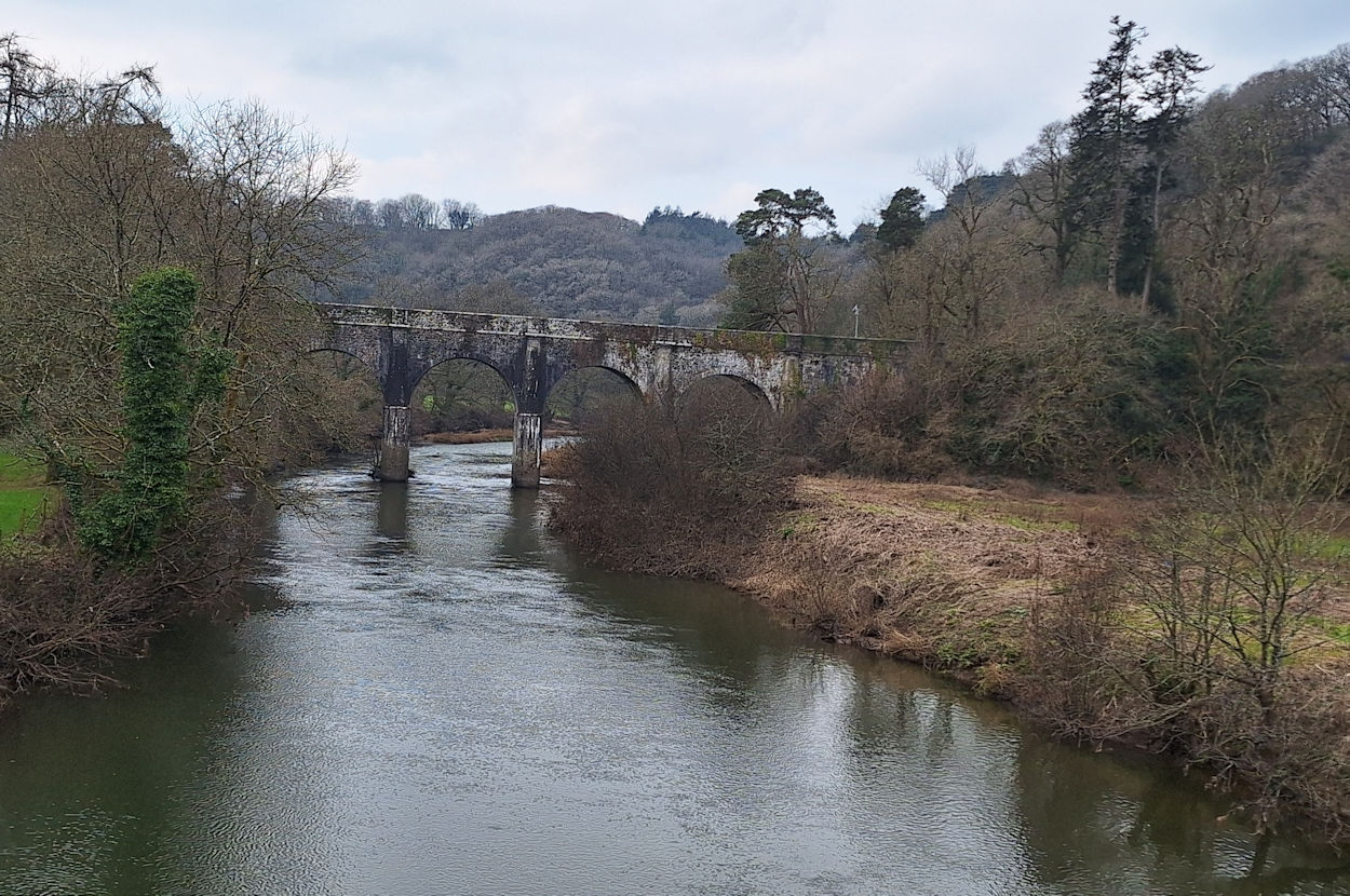 First site visit to our rewilding fields back in February 2020 ...